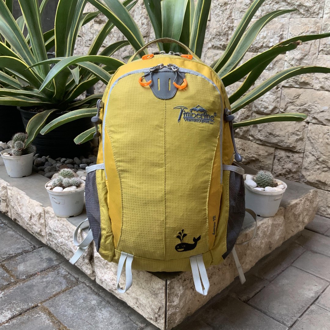TIMBERLINE DAROO 12L BACKPACK, Fesyen Pria, Tas & Dompet , Ransel di ...