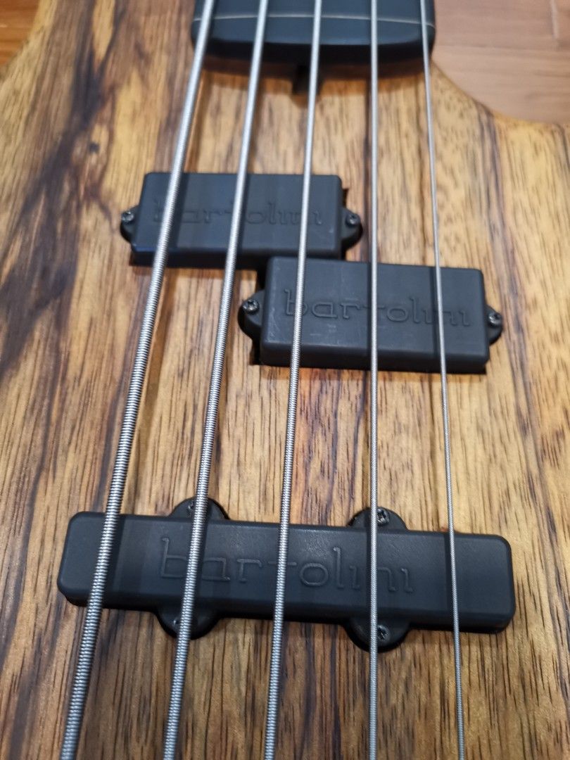 Tom Clement Singlecut Fretless 5-String Bass guitar, Hobbies & Toys ...
