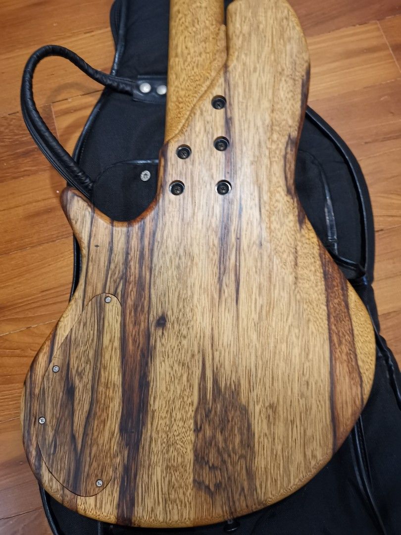 Tom Clement Singlecut Fretless 5-String Bass guitar, Hobbies & Toys ...