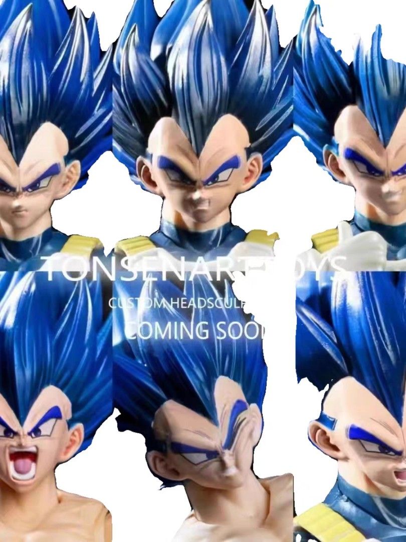 Tosenartoys Vegeta Headsculpt (Blue), Hobbies & Toys, Toys & Games on ...