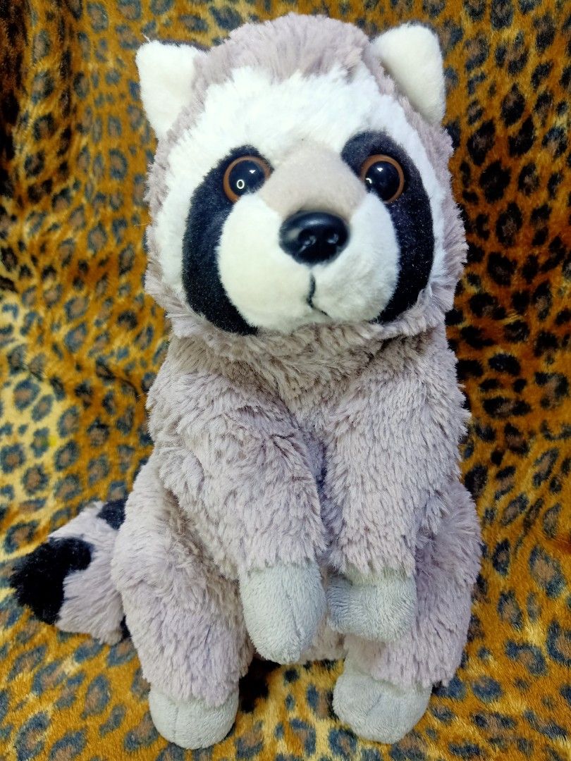 WILD REPUBLIC REALISTIC RACOON PLUSH TOY, Hobbies & Toys, Toys & Games ...