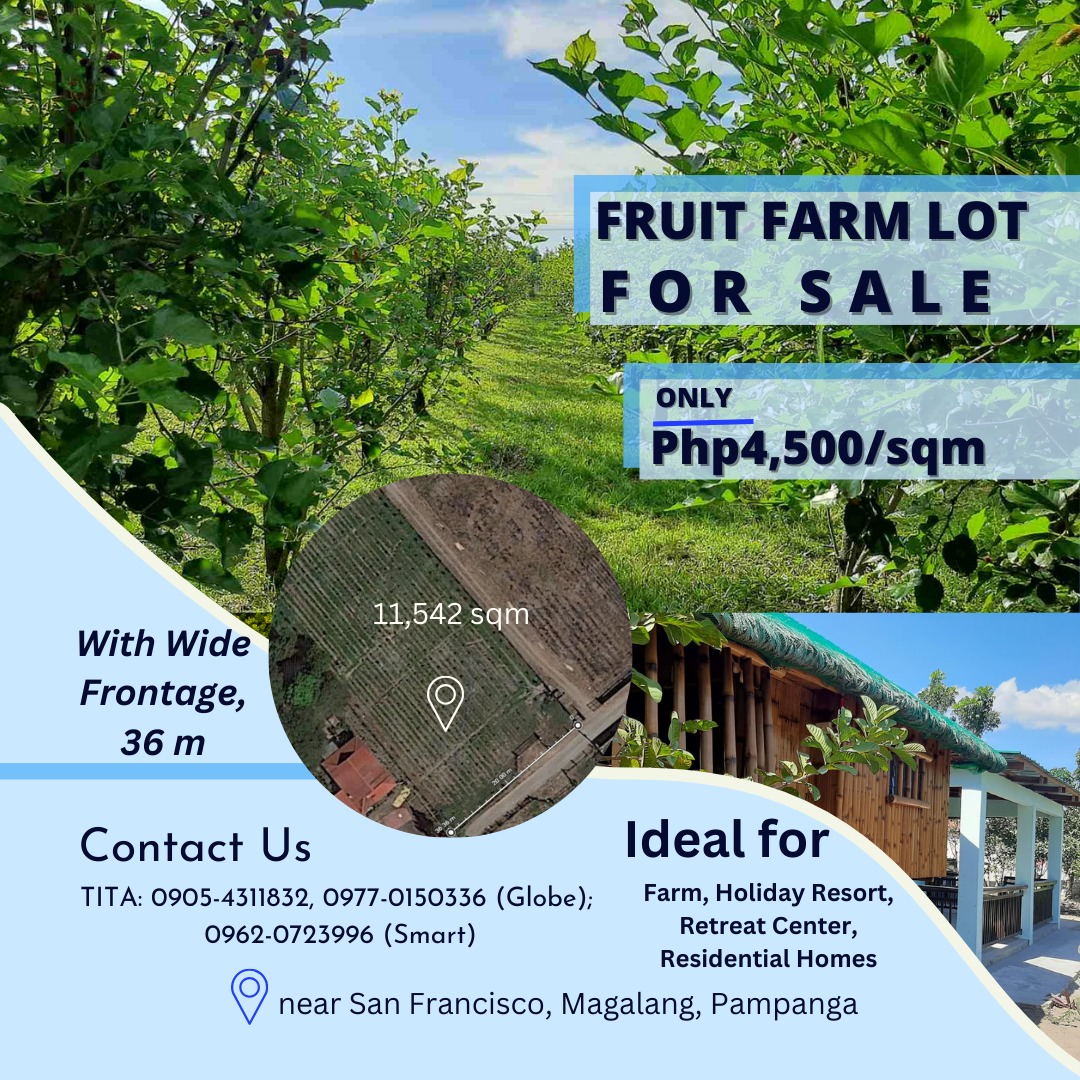 11,542 sqm Residential Fruit Farm Lot For Sale in Magalang, Pampanga ...