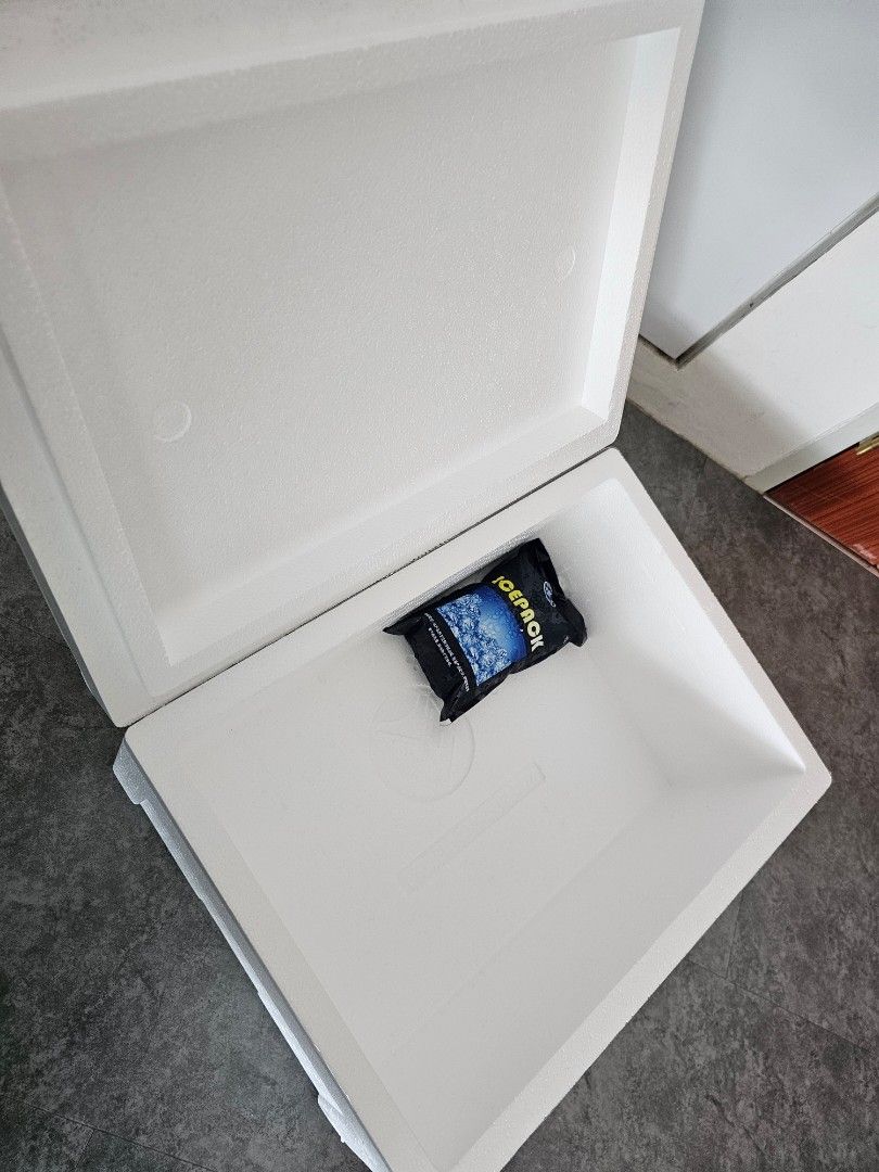 BigStyrofoam box, Everything Else on Carousell