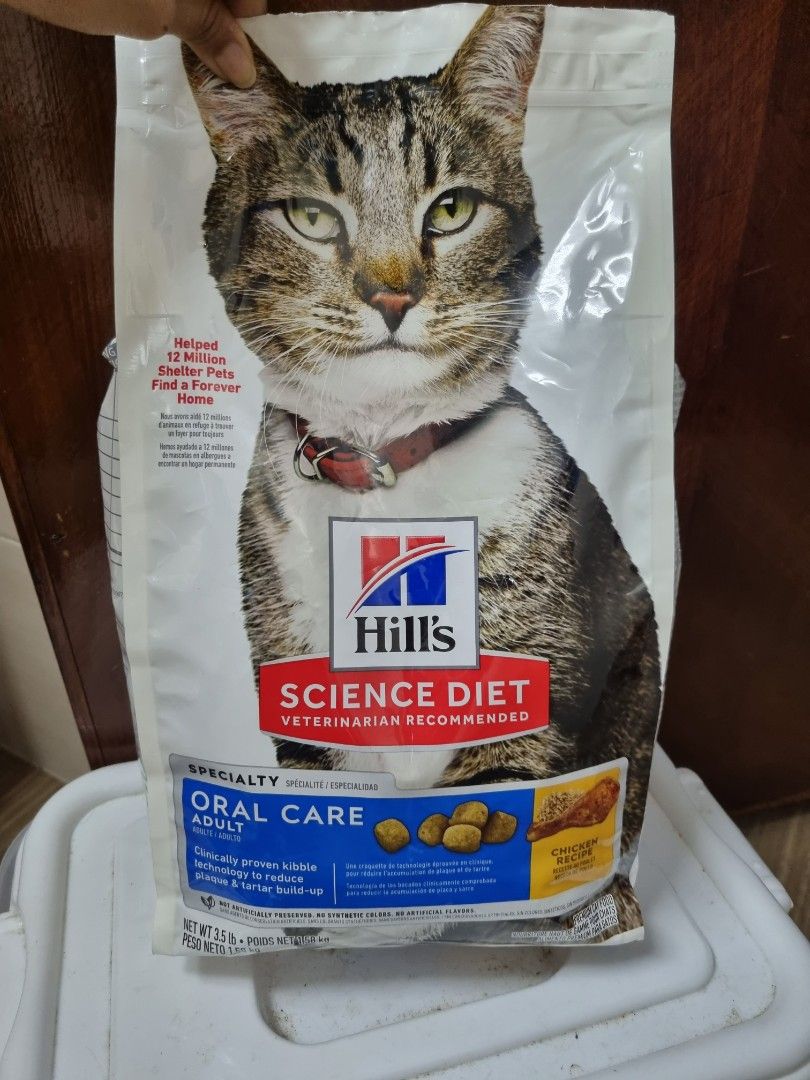 Cat kibble, Pet Supplies, Pet Food on Carousell