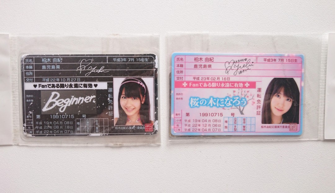 Character Cards 2 set - AKB48 - Official Japanese Idol mech. available ...