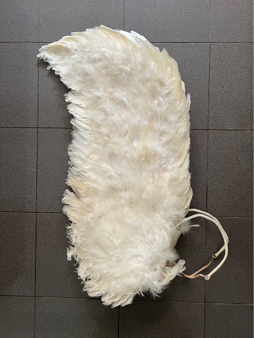 Feathered Wings, Hobbies & Toys, Stationery & Craft, Occasions & Party ...