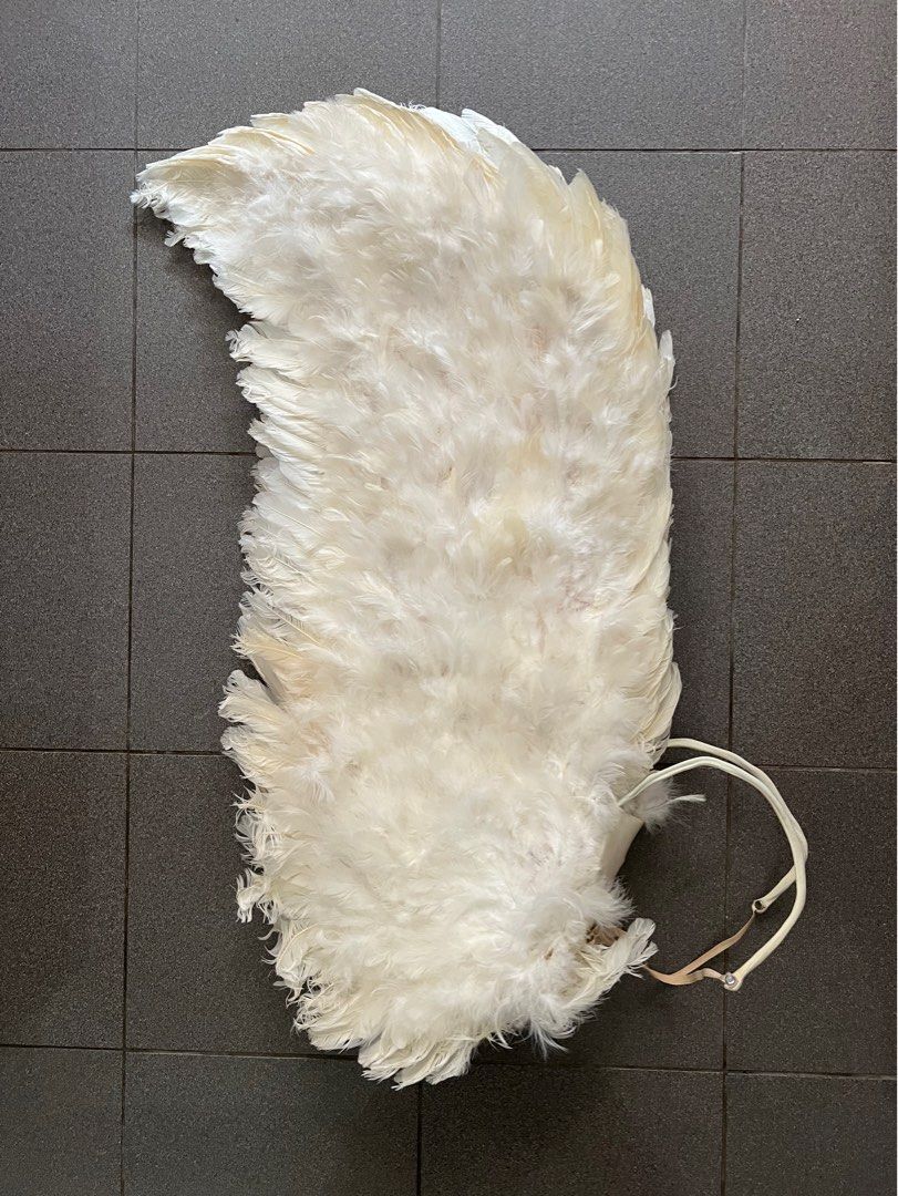 Feathered Wings, Hobbies & Toys, Stationery & Craft, Occasions & Party ...