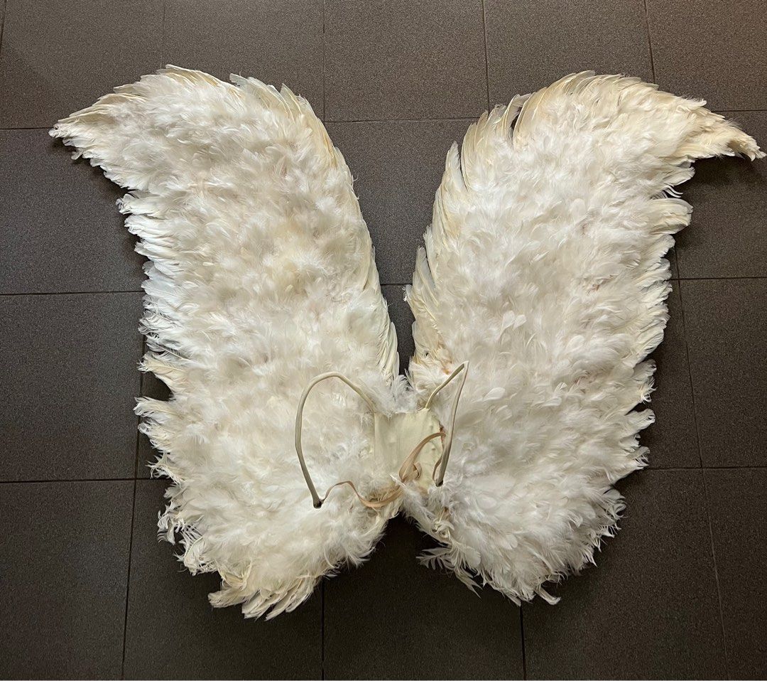 Feathered Wings, Hobbies & Toys, Stationery & Craft, Occasions & Party ...