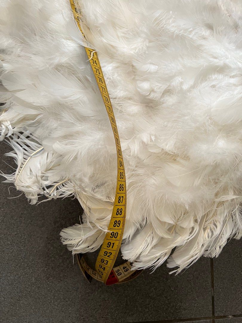 Feathered Wings, Hobbies & Toys, Stationery & Craft, Occasions & Party ...
