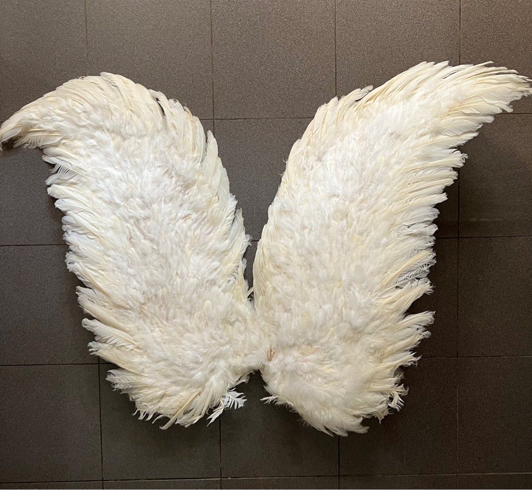 Feathered Wings, Hobbies & Toys, Stationery & Craft, Occasions & Party ...
