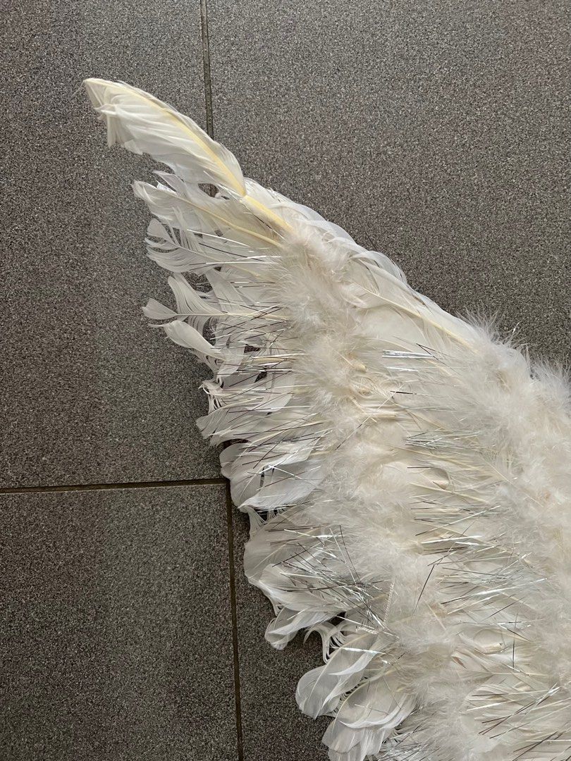 Feathered Wings, Hobbies & Toys, Stationery & Craft, Occasions & Party ...