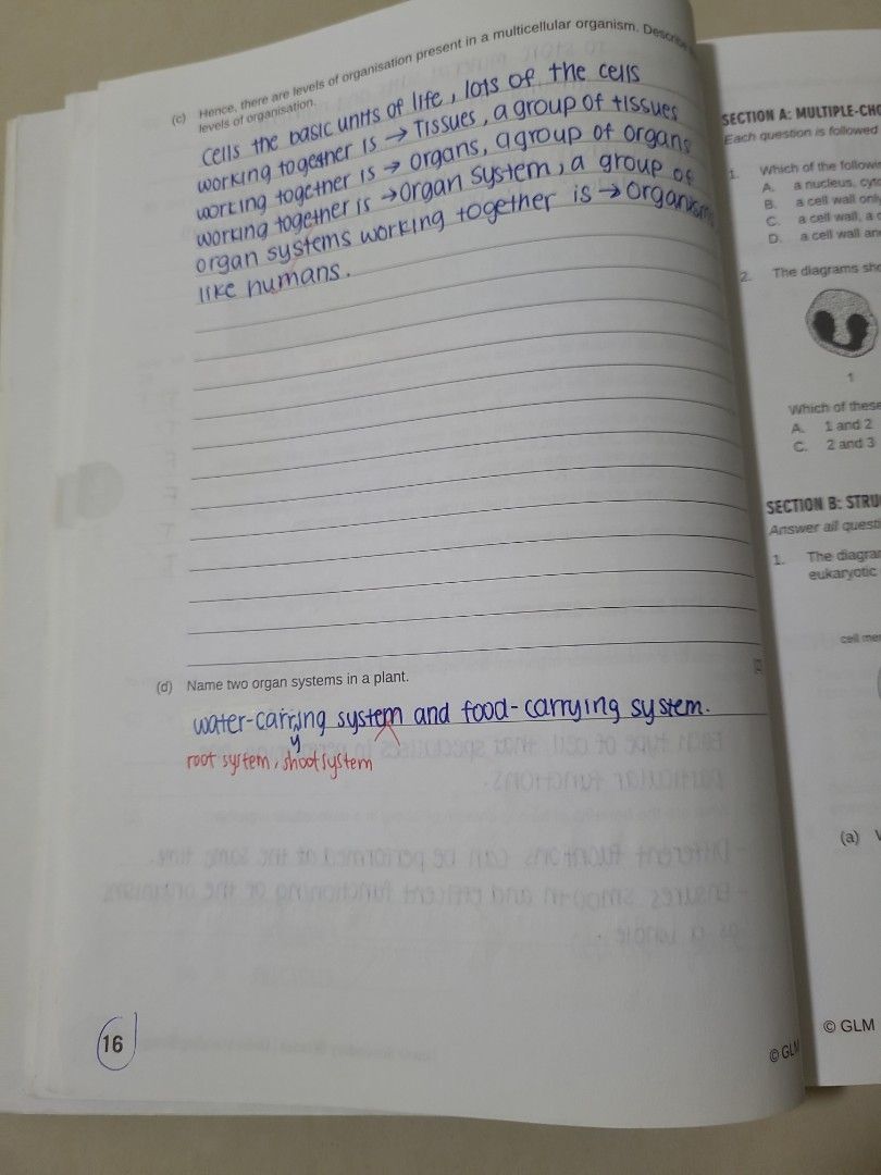 GLM Understanding Biology Lower Secondary Science, Hobbies & Toys ...