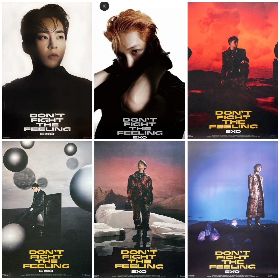 OFFICIAL EXO DFTF POB POSTERS, Hobbies & Toys, Memorabilia ...
