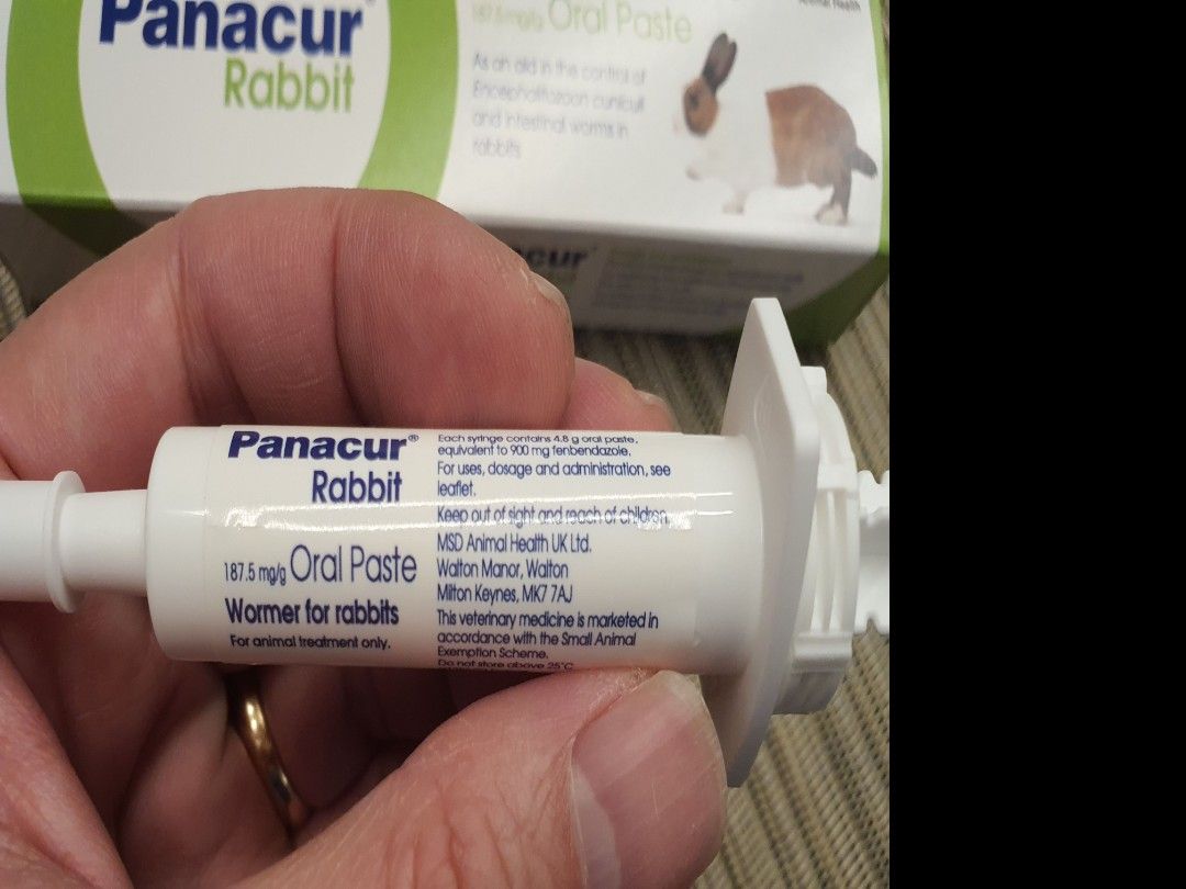 Panacur Rabbit 5mg, Pet Supplies, Pet Food on Carousell