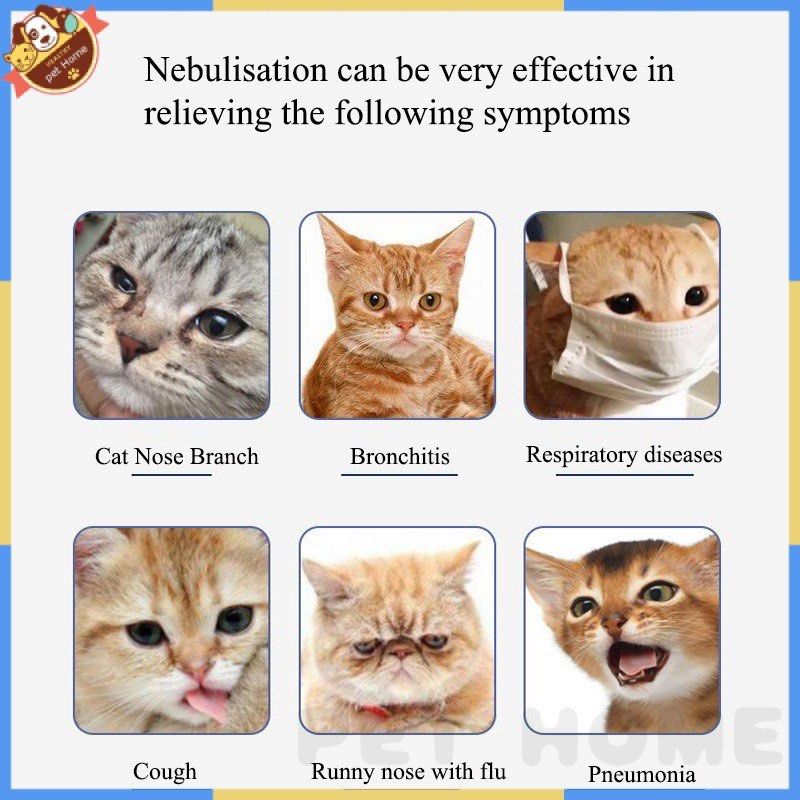 Pet Dog Cat Nebuliser Box Oxygen Concentrator Atomiser , Pet Supplies ...