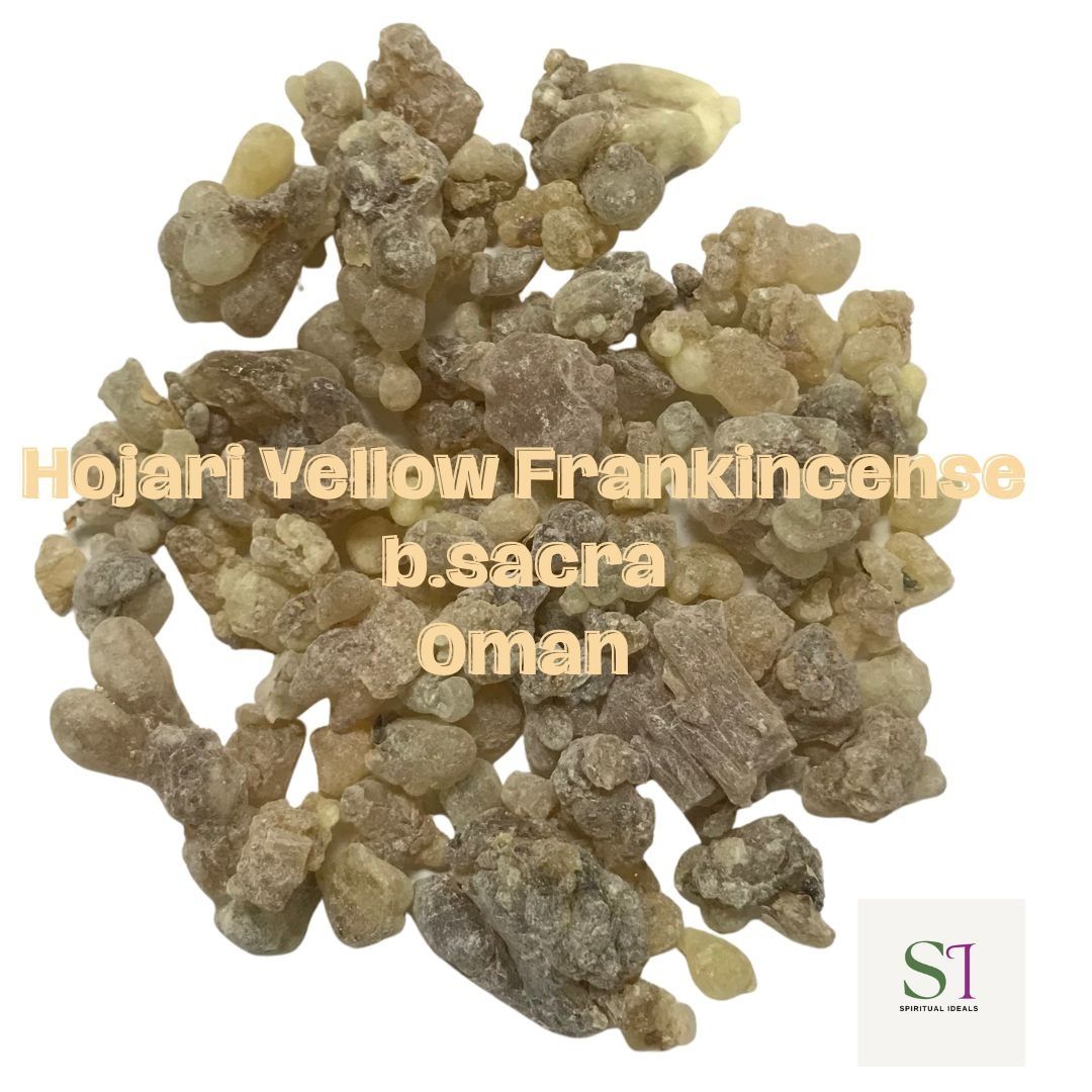 Superior Royal Hojari Green Yellow Frankincense Resins From OMAN ...