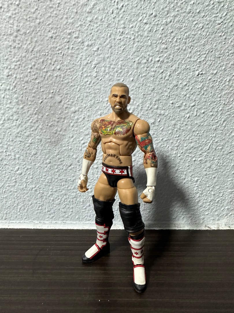 WWE Elite CM Punk, Hobbies & Toys, Toys & Games on Carousell