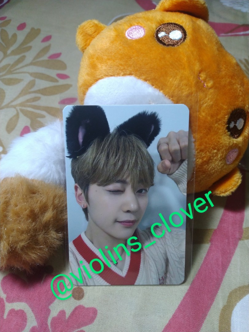 ZB1 matthew cat ears POB, Hobbies & Toys, Memorabilia & Collectibles, K ...