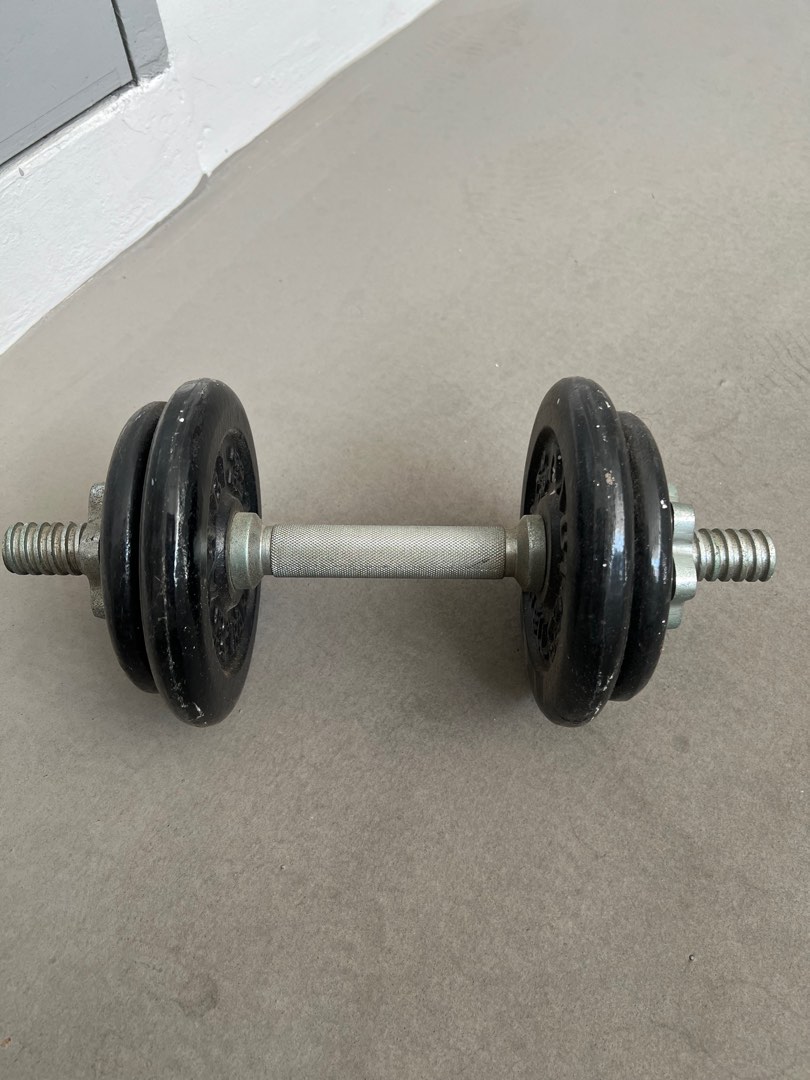 10 kg dumbbell (two items), Sports Equipment, Exercise & Fitness ...
