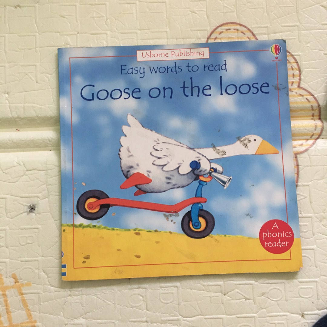 Authentic Original Copy USBORNE Phonics Readers Goose on the loose ...