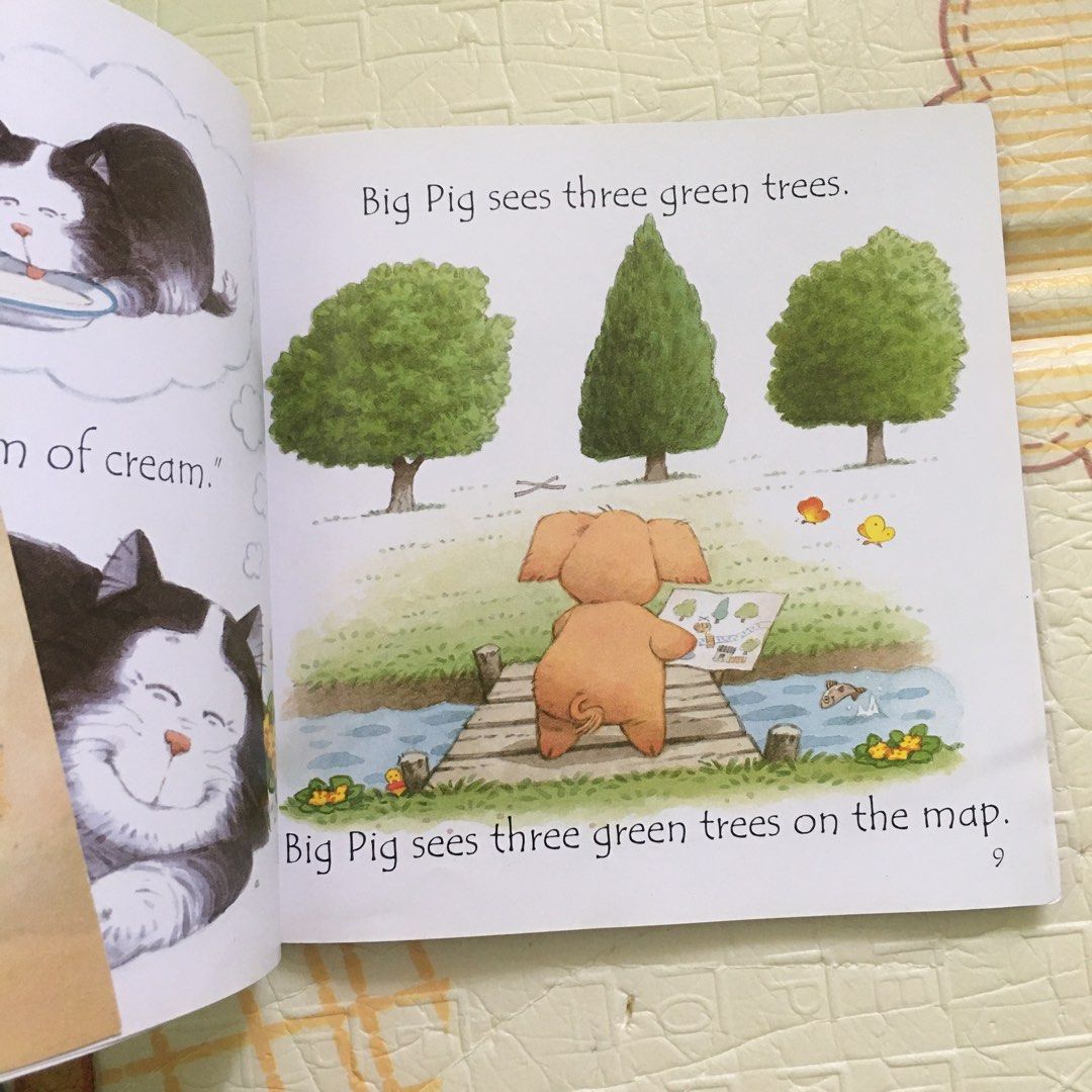 Authentic Original Copy USBORNE Phonics Readers Big Pig on a dig ...