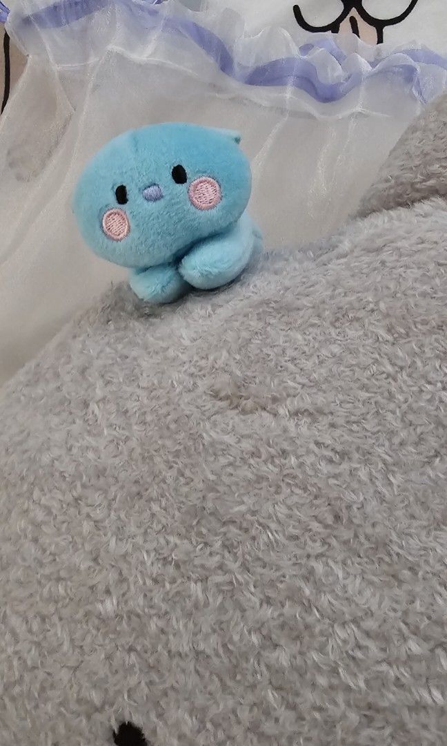 BT21 Van Plushie, Hobbies & Toys, Memorabilia & Collectibles, K-Wave on ...