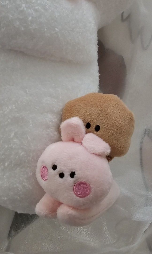 BT21 Van Plushie, Hobbies & Toys, Memorabilia & Collectibles, K-Wave on ...