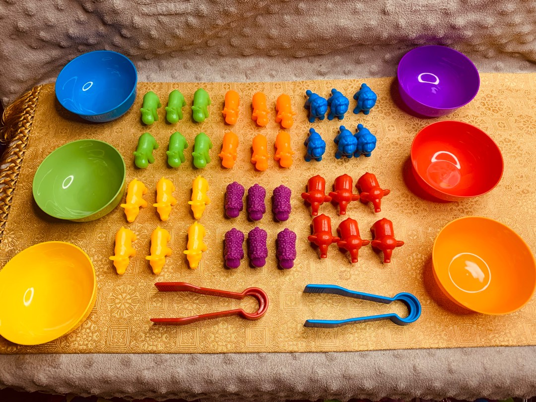 Counting & color sorting toy (Animals), Hobbies & Toys, Toys & Games on ...