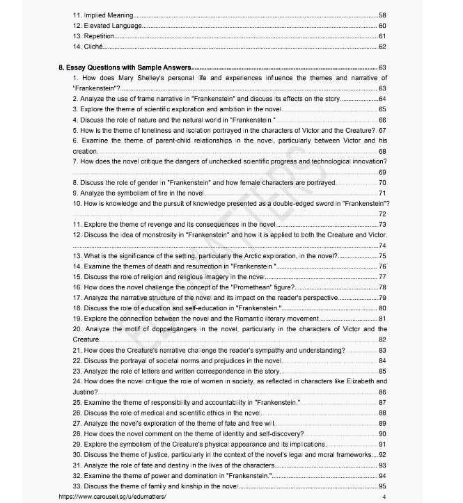 Frankenstein by Mary Shelley (Literature Study Guide), Hobbies & Toys ...