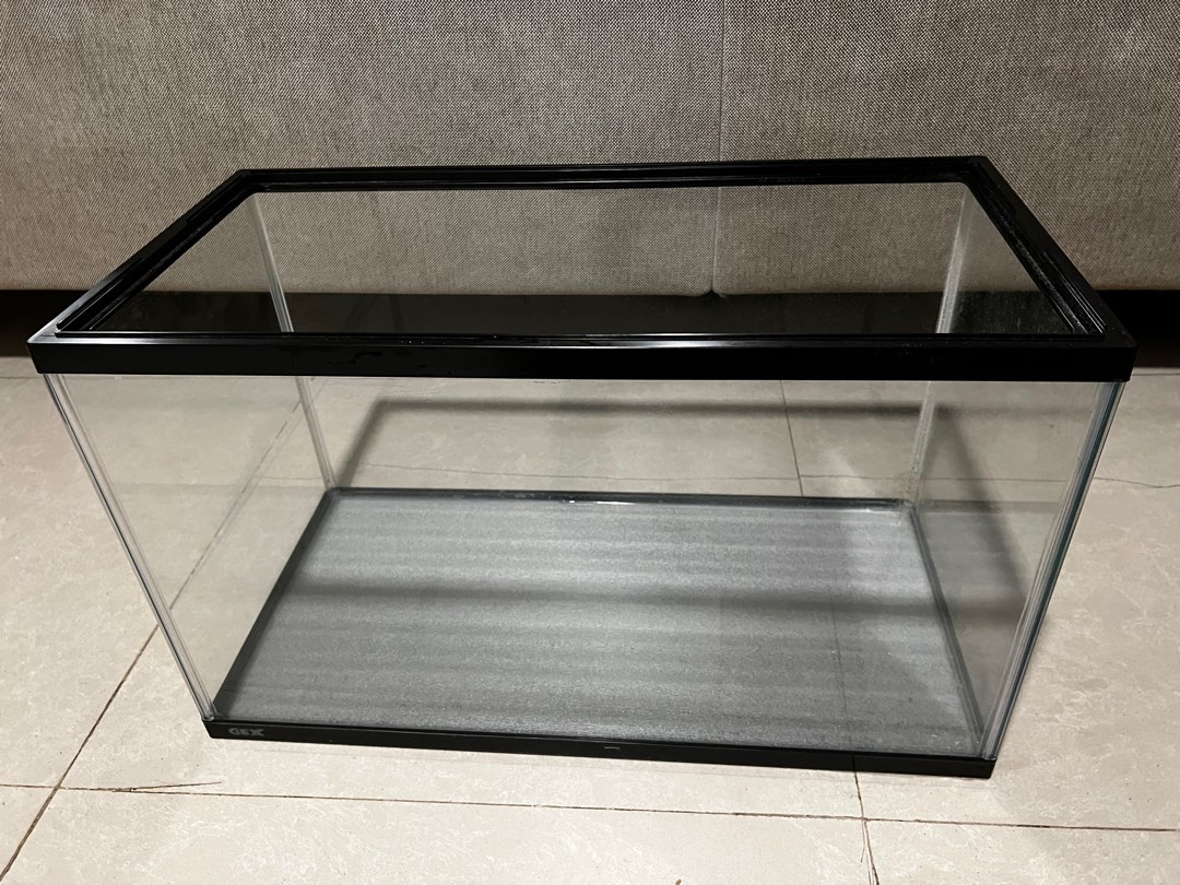 gex 60cm tank, Pet Supplies, Homes & Other Pet Accessories on Carousell