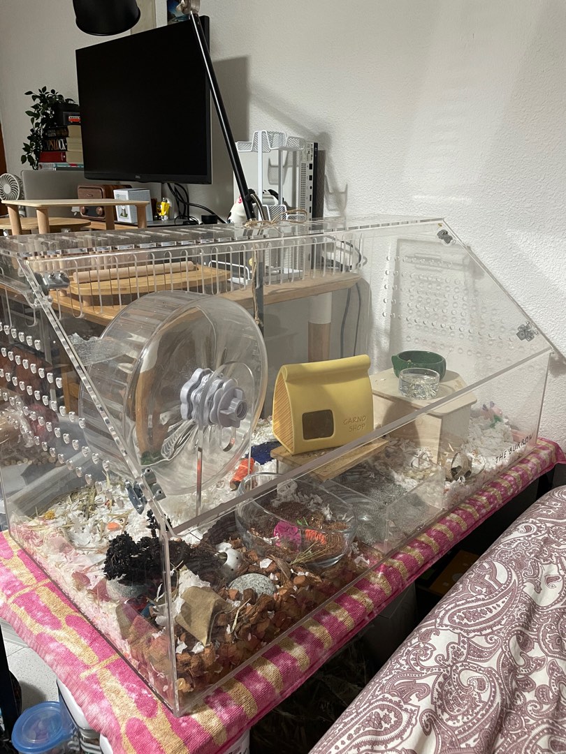 Hamster Acrylic Clear Cage Large Tank Enclosure The Burrow, Pet ...
