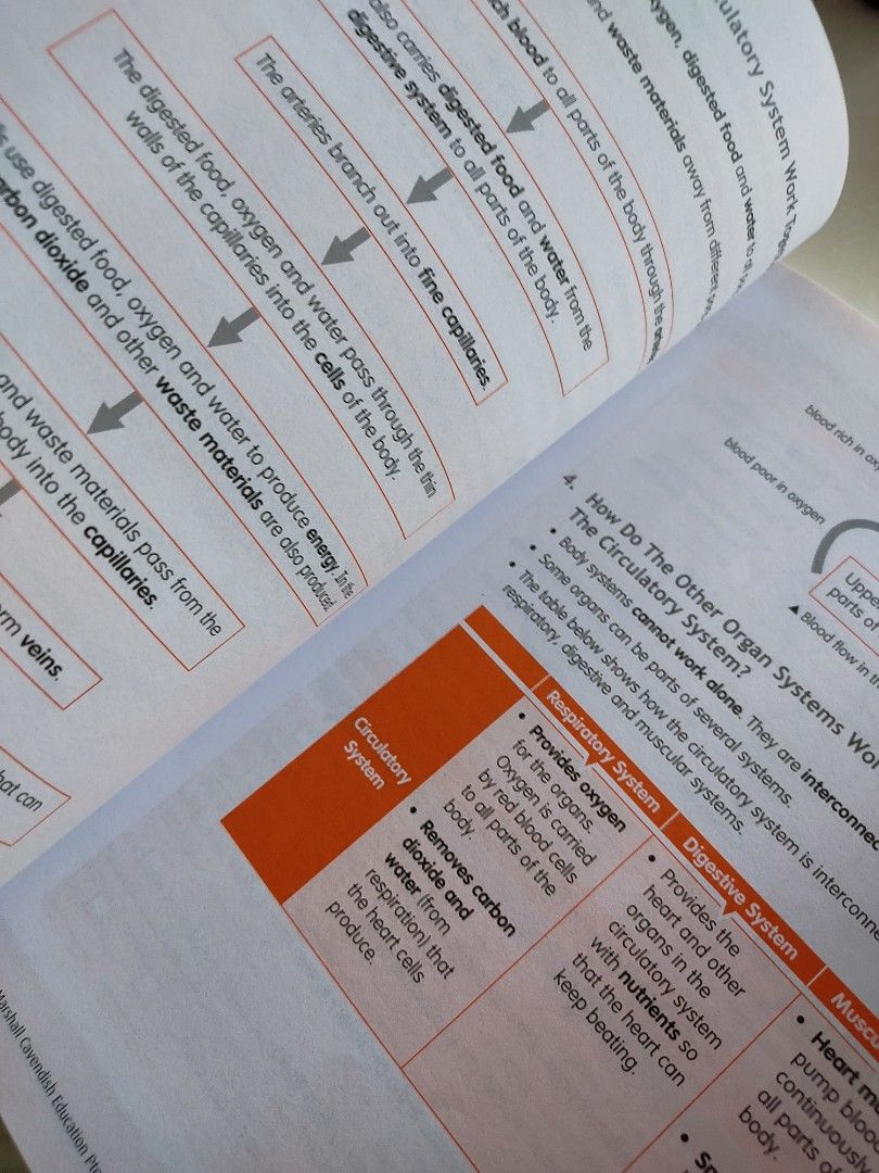 PSLE Science Revision Guide, Hobbies & Toys, Books & Magazines ...