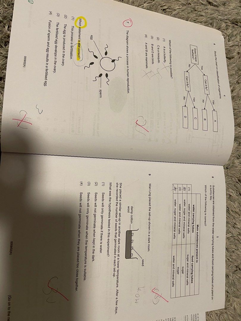 PSLE Science yearly 2020 to 2022, Hobbies & Toys, Books & Magazines ...
