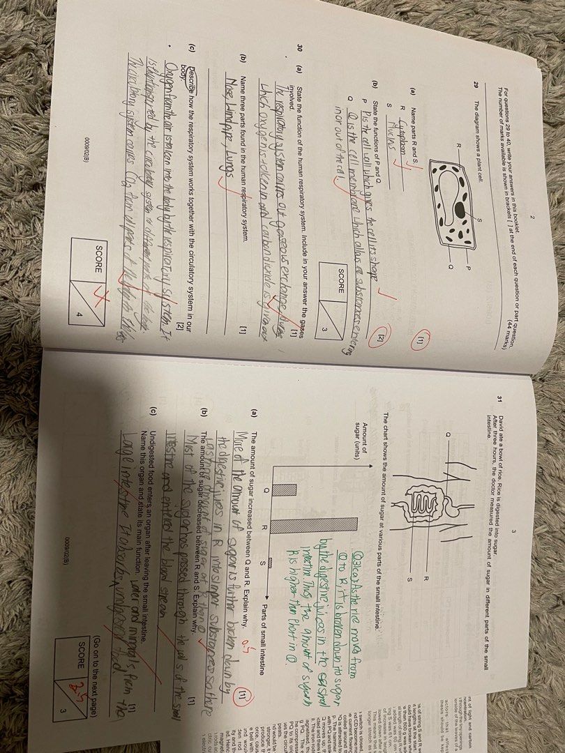 PSLE Science yearly 2020 to 2022, Hobbies & Toys, Books & Magazines ...