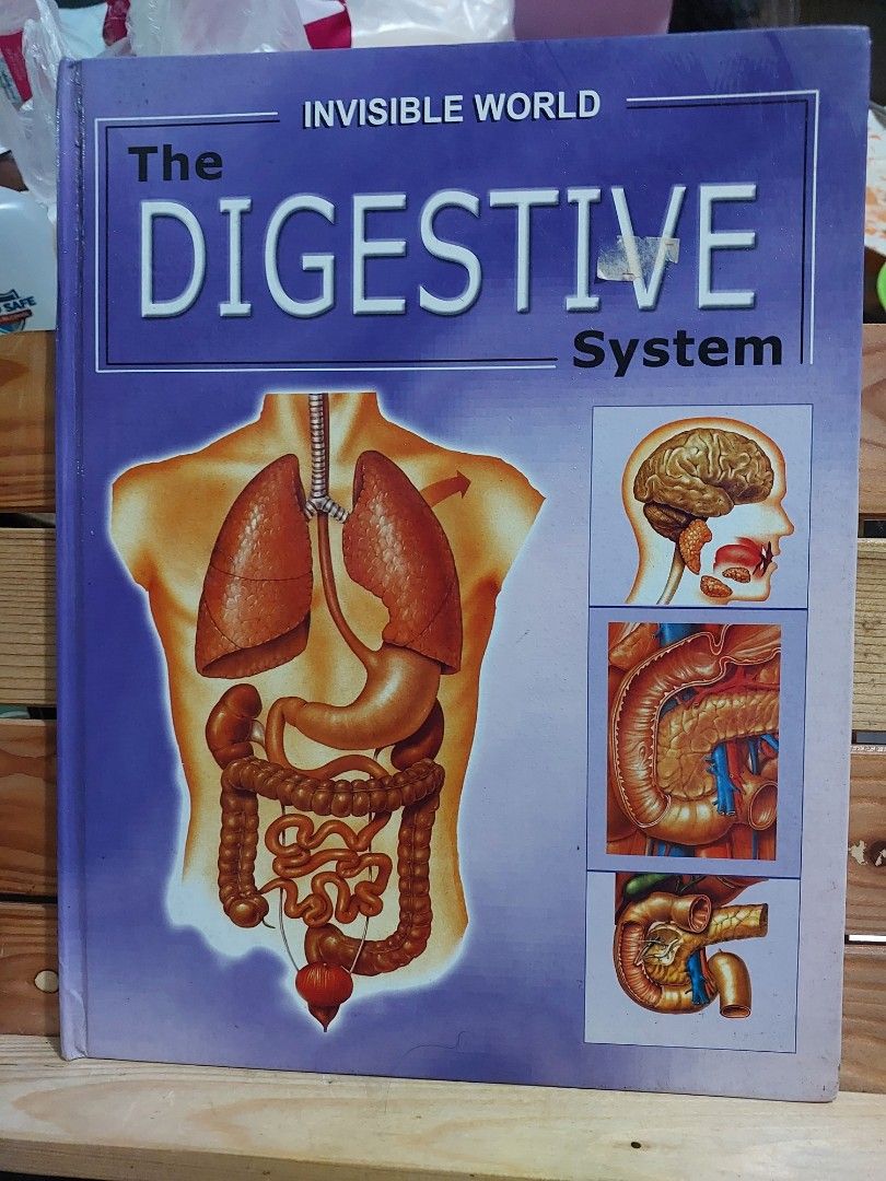 The Digestive System, Hobbies & Toys, Books & Magazines, Textbooks on ...