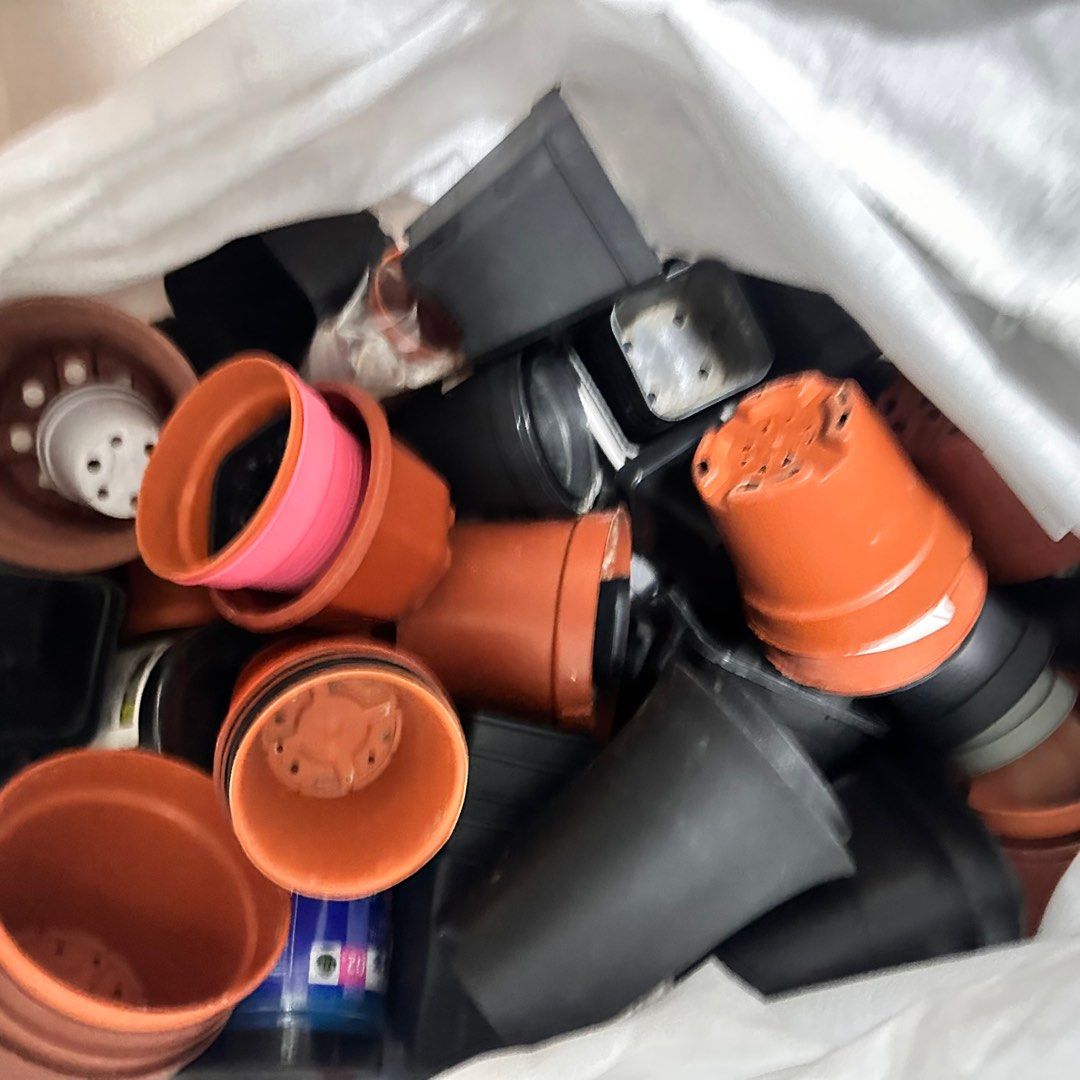 Used pots, Furniture & Home Living, Gardening, Gardening Tools ...