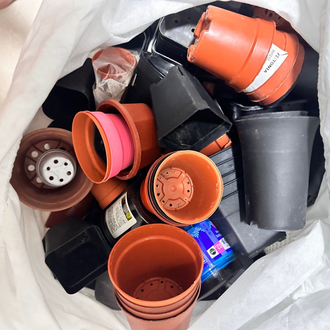 Used pots, Furniture & Home Living, Gardening, Gardening Tools ...