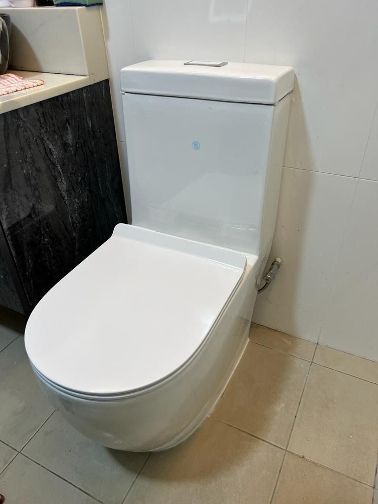 BARON W818 RIMLESS TOILET BOWL WITH GEBERIT FLUSHING SYSTEM ON SALE NOW ...