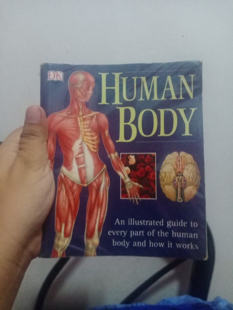 DK Human Body Book, Hobbies & Toys, Books & Magazines, Fiction & Non ...