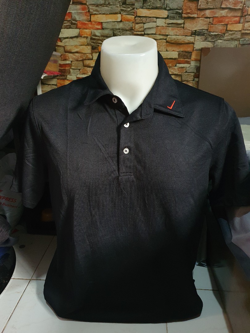 Land's End Drifit Polo Shirt, Men's Fashion, Tops & Sets, Tshirts & Polo Shirts on Carousell