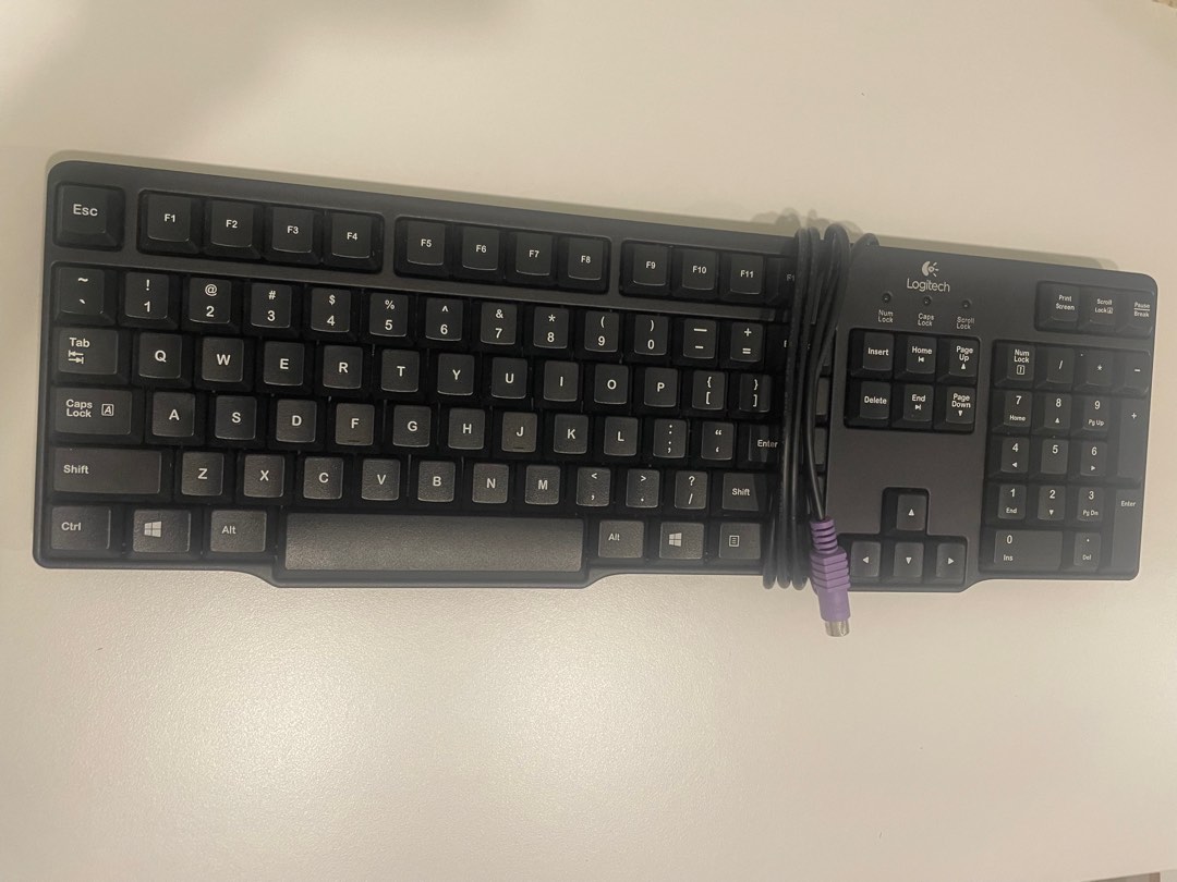 Logitech Classic Keyboard K100 (PS/2 port) Black, Computers & Tech, Parts & Accessories ...