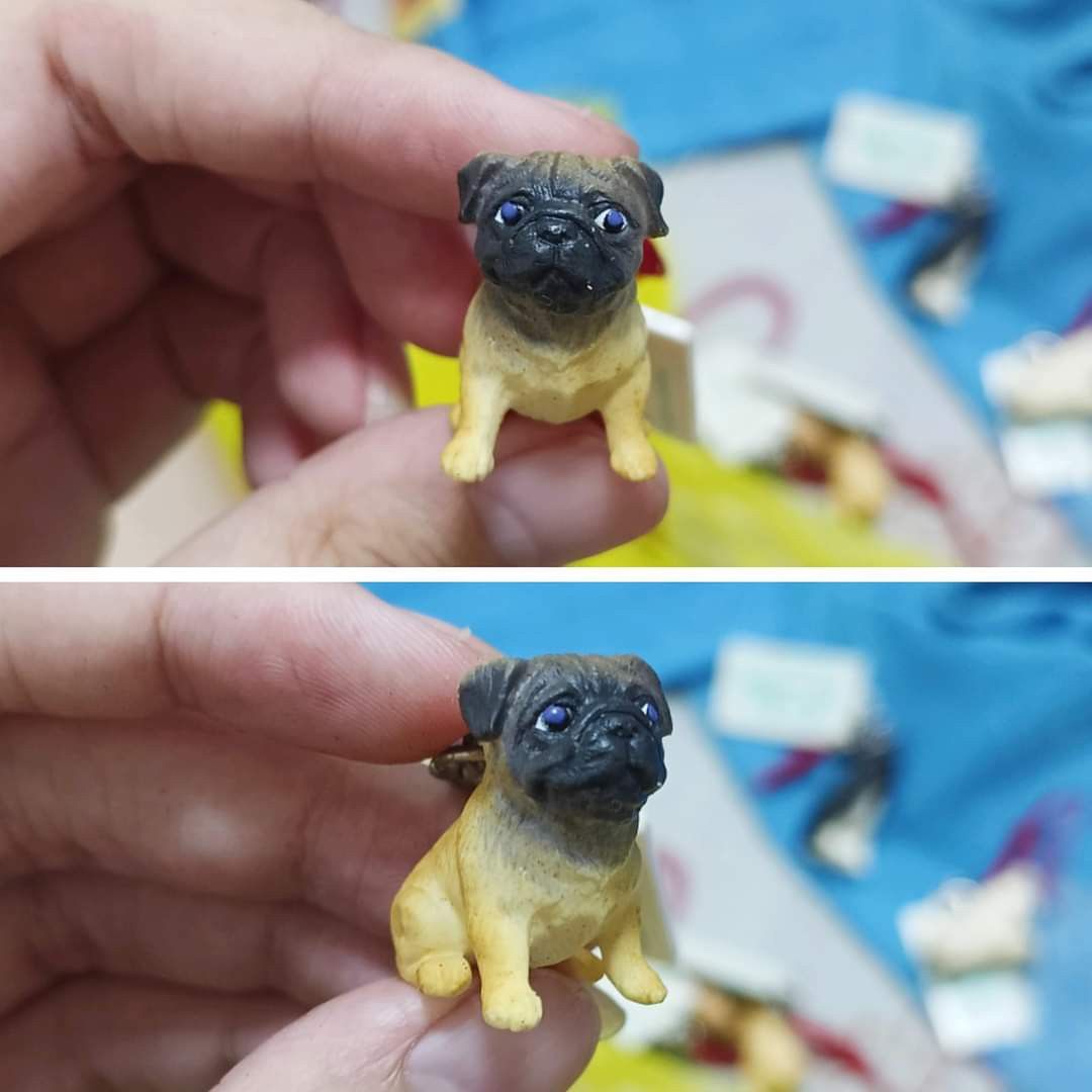 Minis Dogs Different Breeds Miniatures Animals, Hobbies & Toys, Toys ...