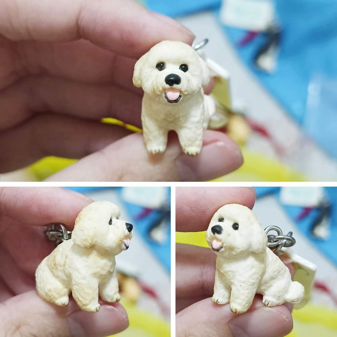 Minis Dogs Different Breeds Miniatures Animals, Hobbies & Toys, Toys ...