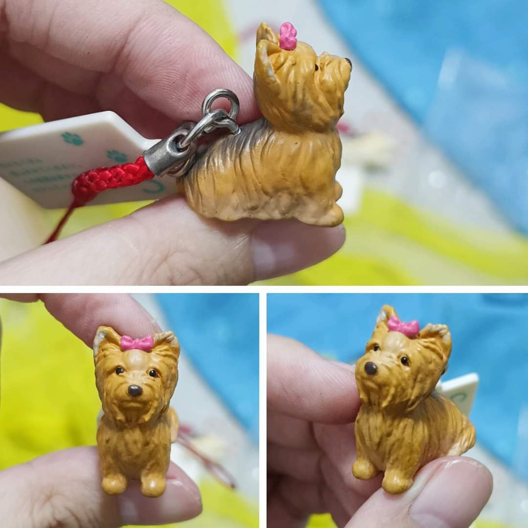 Minis Dogs Different Breeds Miniatures Animals, Hobbies & Toys, Toys ...