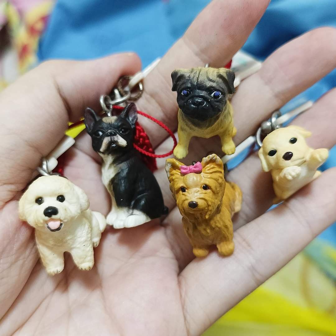 Minis Dogs Different Breeds Miniatures Animals, Hobbies & Toys, Toys ...