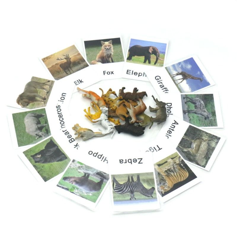 Montessori Animal Match Cards Miniature Poultry Animals with Matching ...
