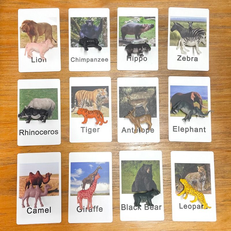 Montessori Animal Match Cards Miniature Poultry Animals with Matching ...