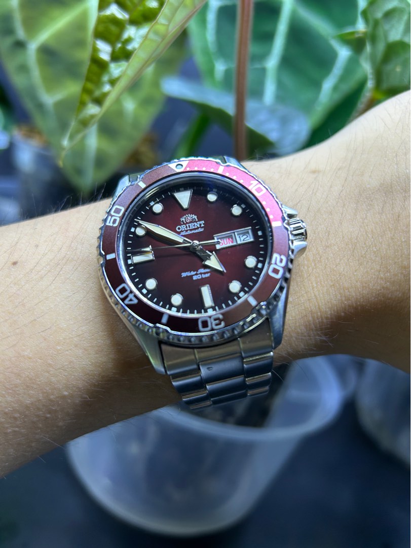 Orient Mako 3 Red Dial, Luxury, Watches on Carousell
