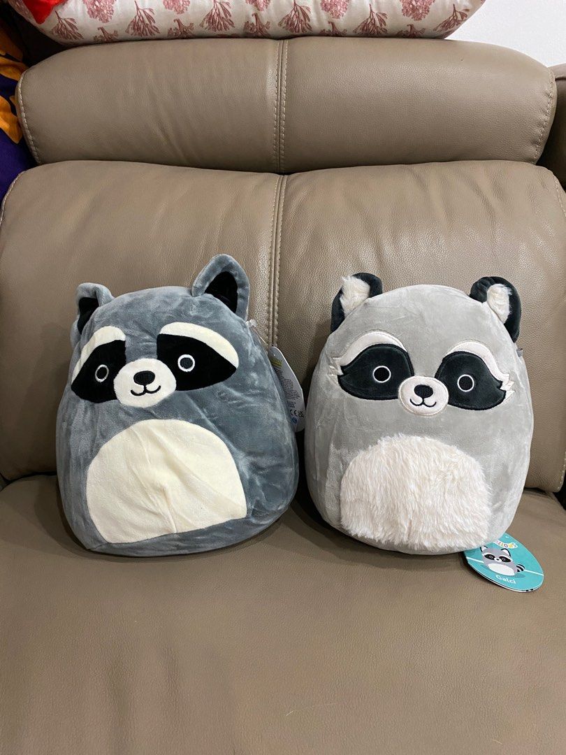 Pair of 8” Raccoon Squishmallows, Hobbies & Toys, Toys & Games on Carousell