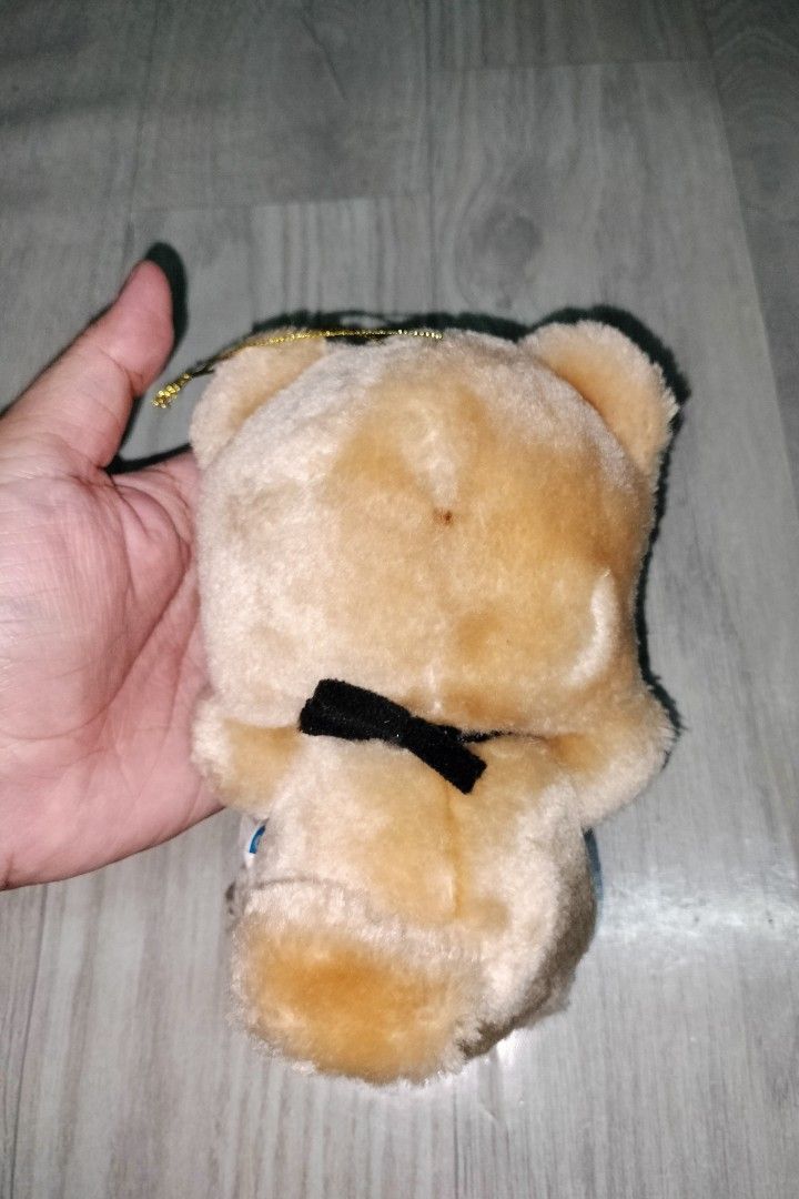 Pokopon's Diary Sanrio Mascot, Hobbies & Toys, Toys & Games on Carousell